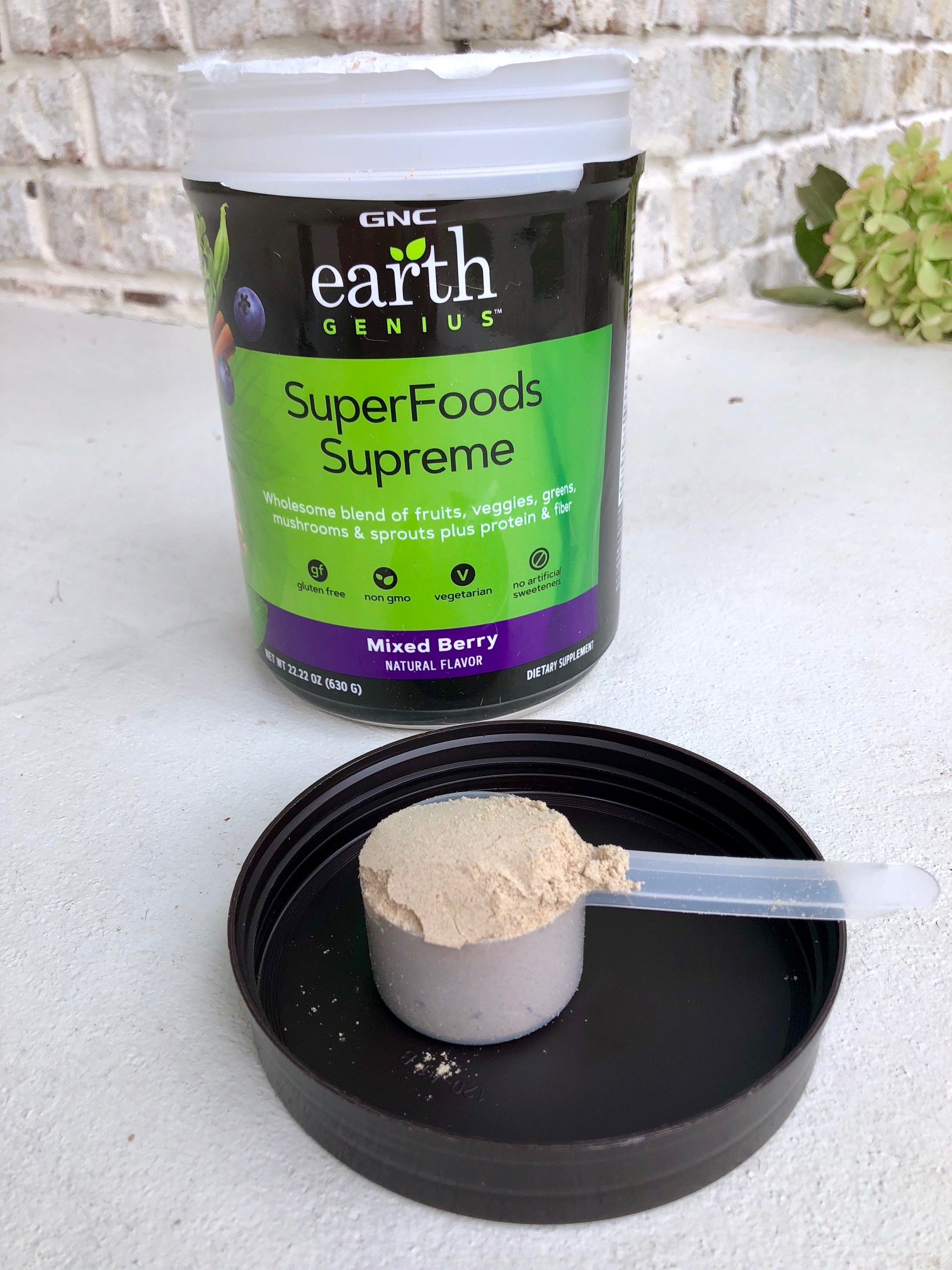 Why I am Loving GNC Earth Genius! - Diary of a Fit Mommy